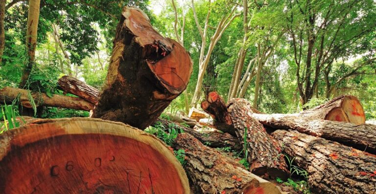 Natural Resource Damage (NRD) Claims in NJ: The Role of Attorney, NJDEP ...